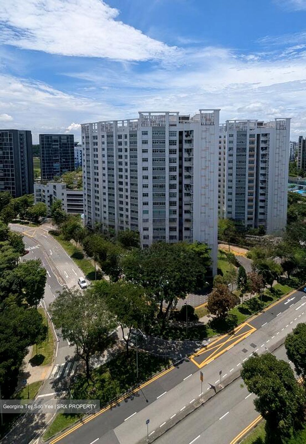 Tampines Greenwood (Tampines), HDB 4 Rooms - For Sale #104838211